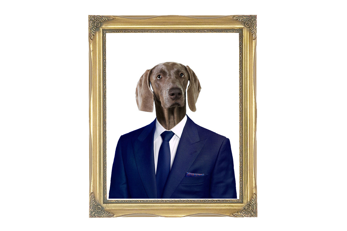 Dog CEO - Good Dog Business